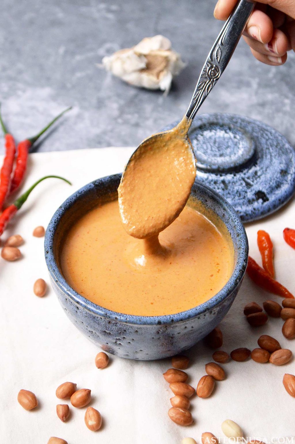 Multipurpose Peanut Sauce (From Whole Peanuts) - Taste of Nusa