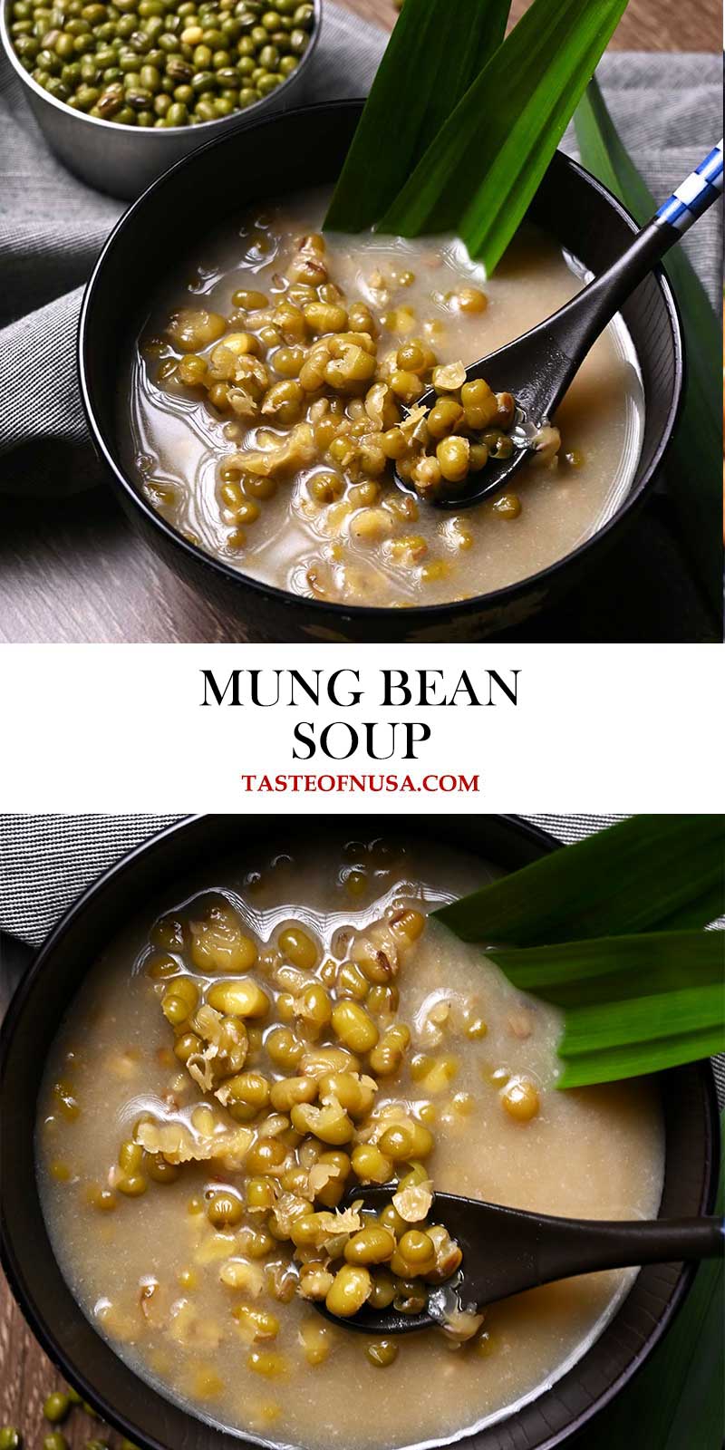 Sweet Mung Bean Soup (Bubur Kacang Hijau) - Taste of Nusa