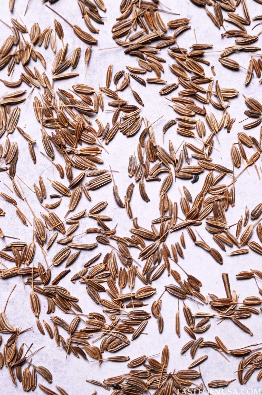 What Is Cumin? - Taste of Nusa