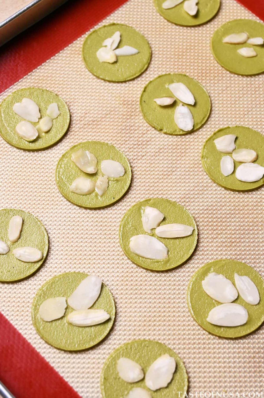 Almond Matcha Tuiles - Taste of Nusa