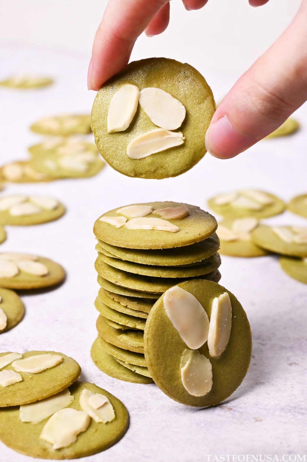 Almond Matcha Tuiles - Taste of Nusa