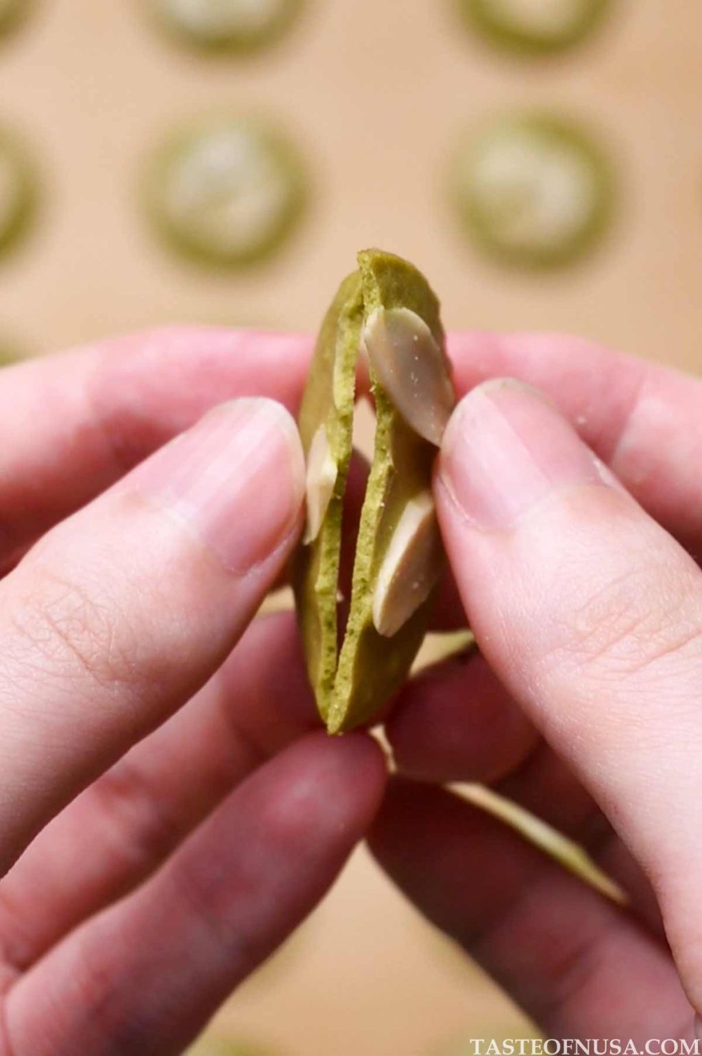 Almond Matcha Tuiles - Taste of Nusa