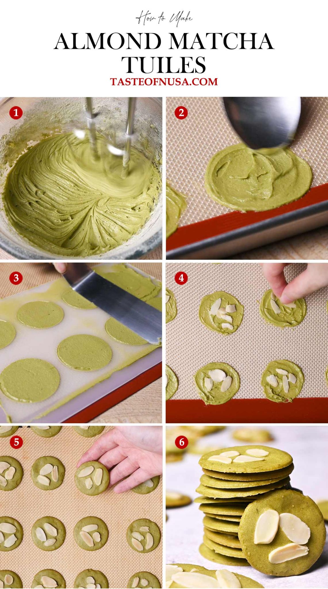 Almond Matcha Tuiles - Taste of Nusa