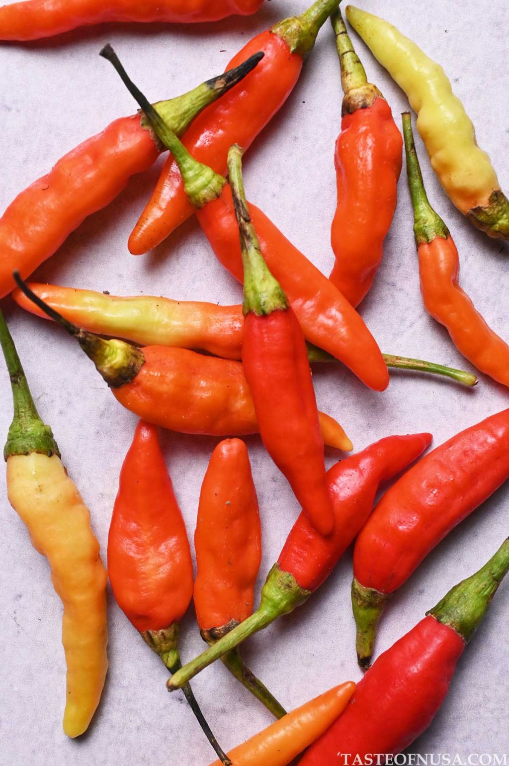Bird's Eye Chili - Taste of Nusa - tasteofnusa.com