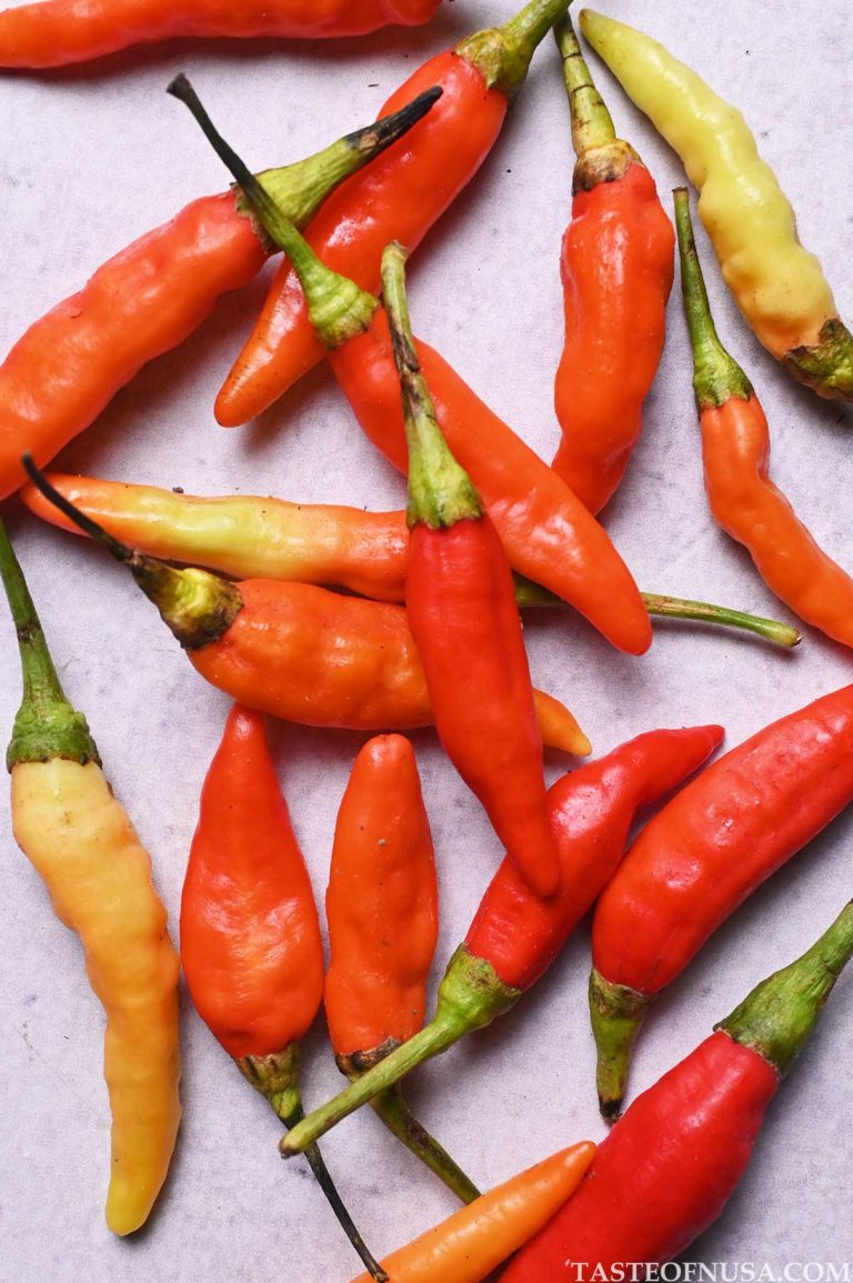 Bird's Eye Chili - Taste of Nusa - tasteofnusa.com